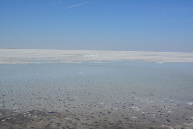 Rann of Kutch Travel Guide: Things to Do & Places to Visit - dreamtrails